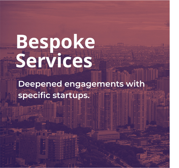 CorporACEtion | Action Community for Entrepreneurship